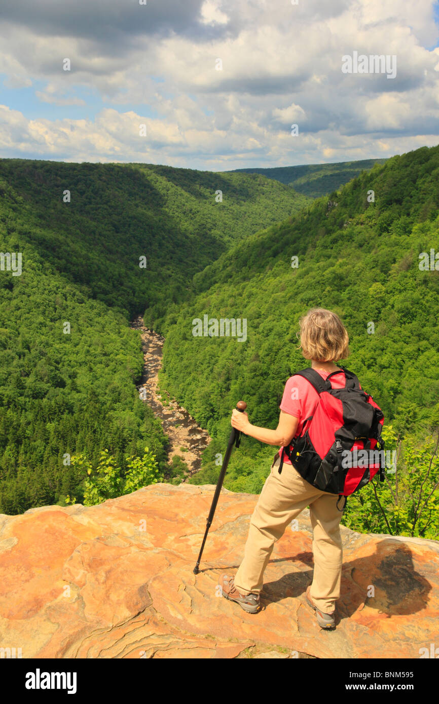 Hiker looks into Blackwater River Canyon from Pendleton Point Overlook ...