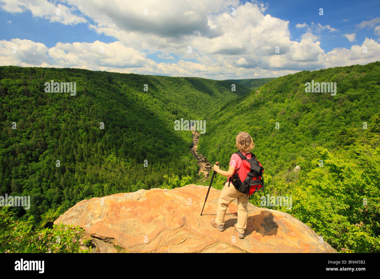 Hiker looks into Blackwater River Canyon from Pendleton Point Overlook ...