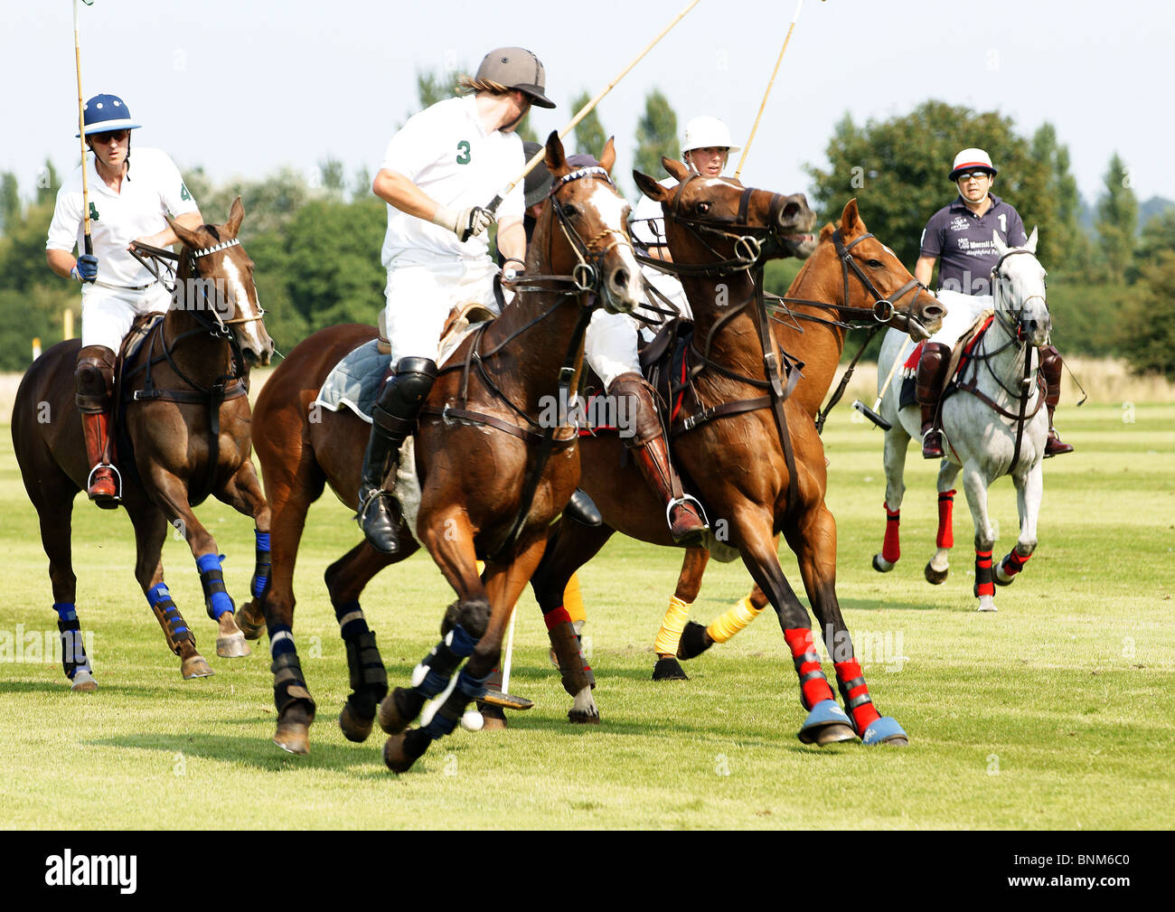 Polo Match Rutland Polo Club Ponies Players [Polo Sticks] Stock Photo ...