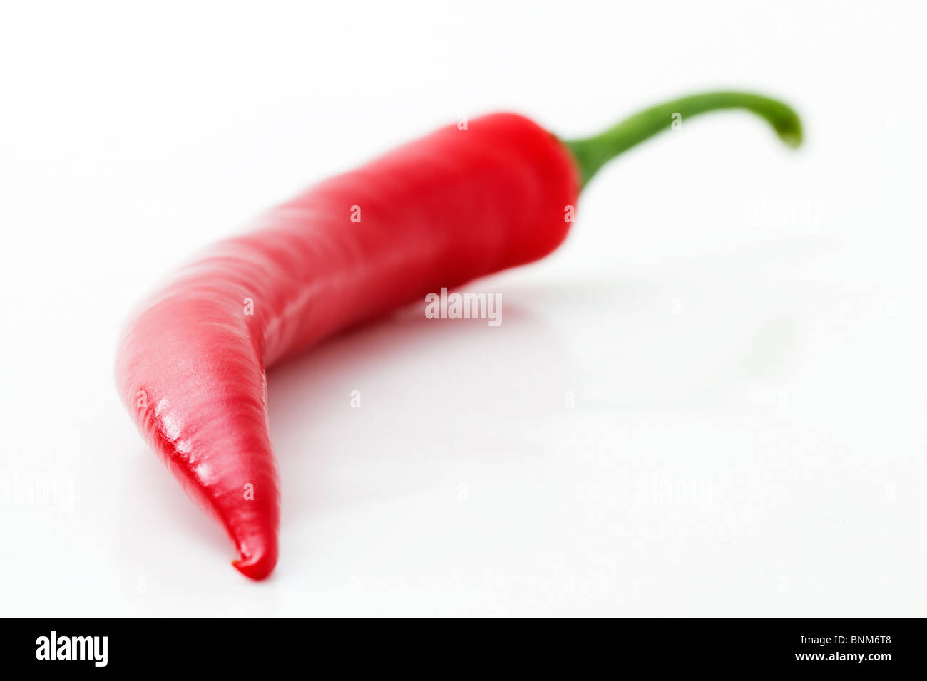 one red chili in depth isolated on white background Stock Photo - Alamy