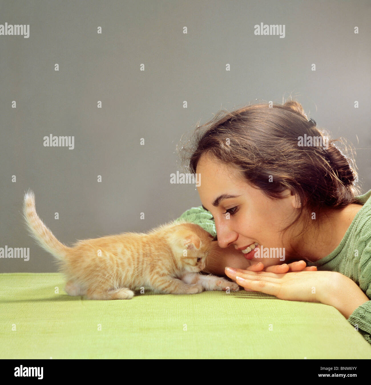young woman - playing with a kitten Stock Photo - Alamy