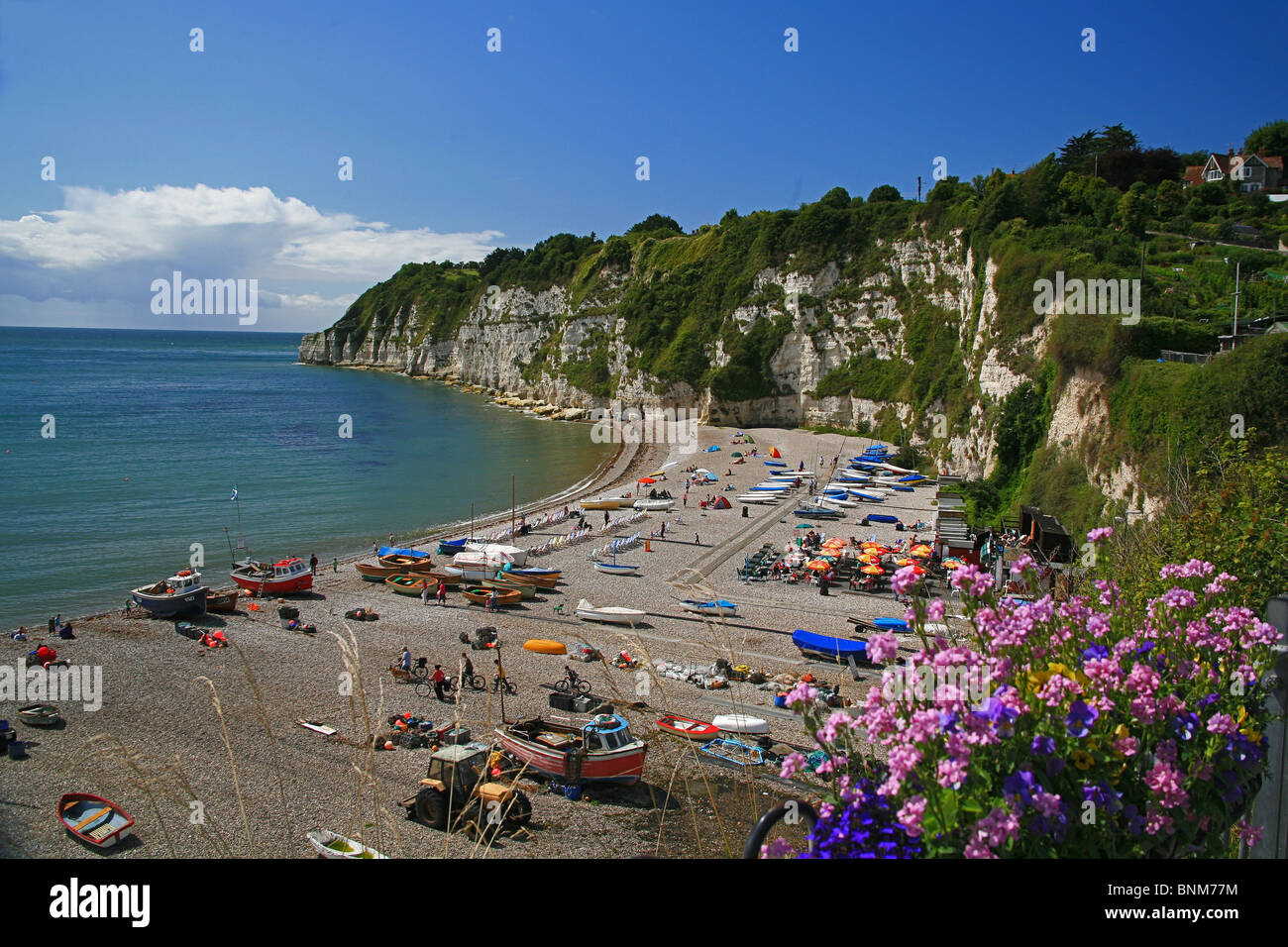 The beach at Beer, Devon, England, UK Stock Photo - Alamy