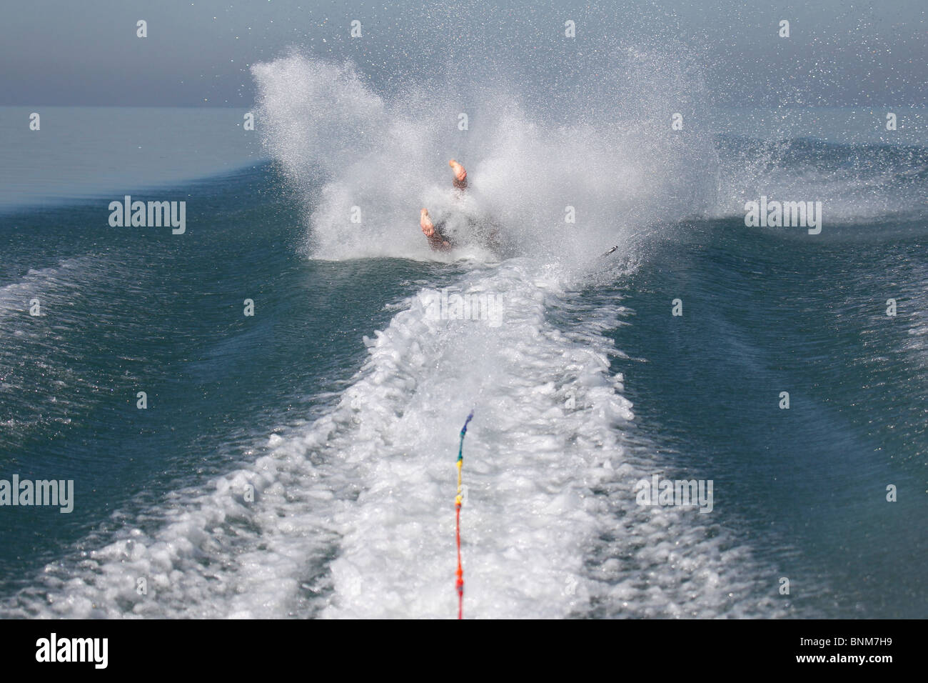 A waterskier falling while skiing barefoot Stock Photo - Alamy