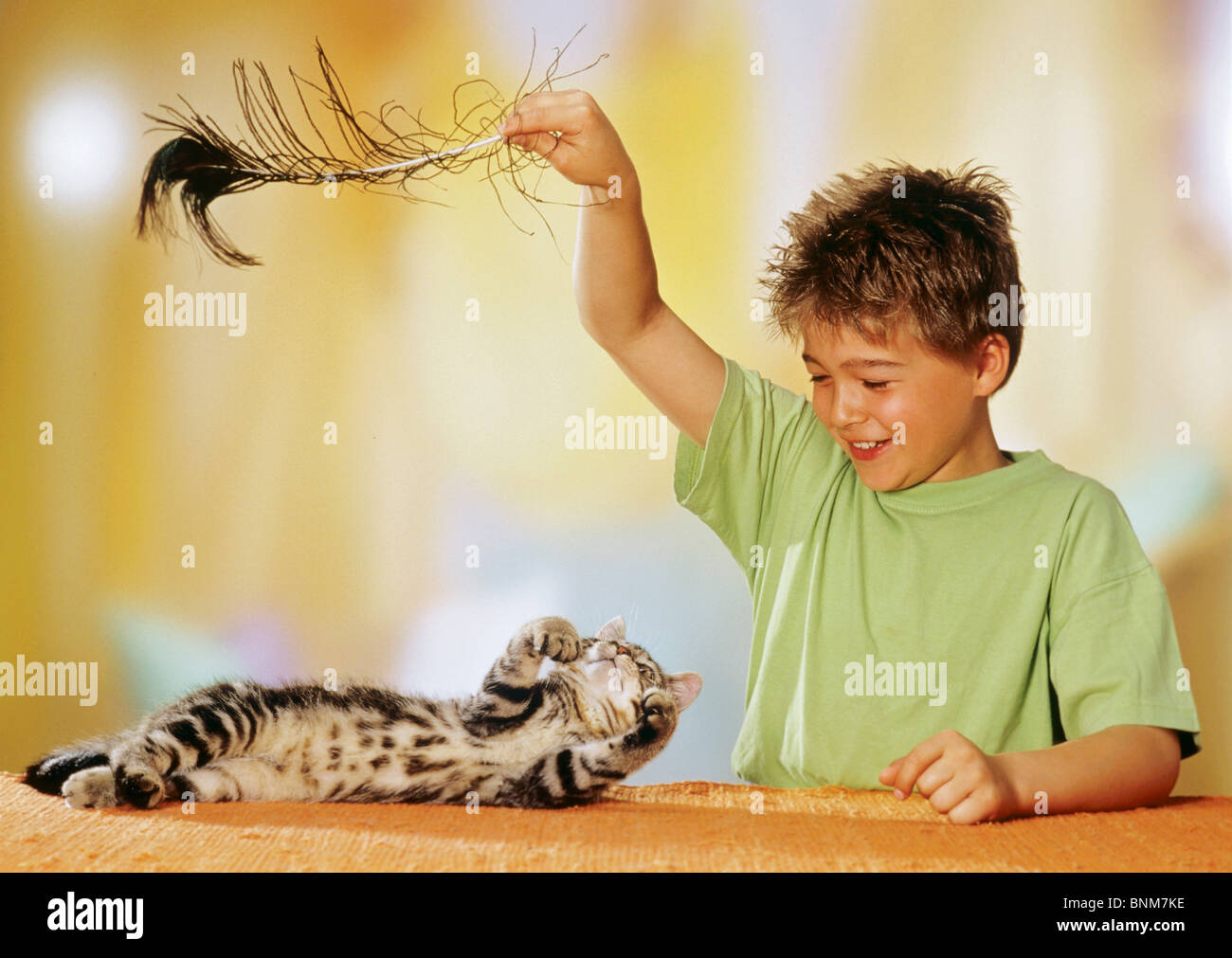 boy playing with a cat Stock Photo - Alamy