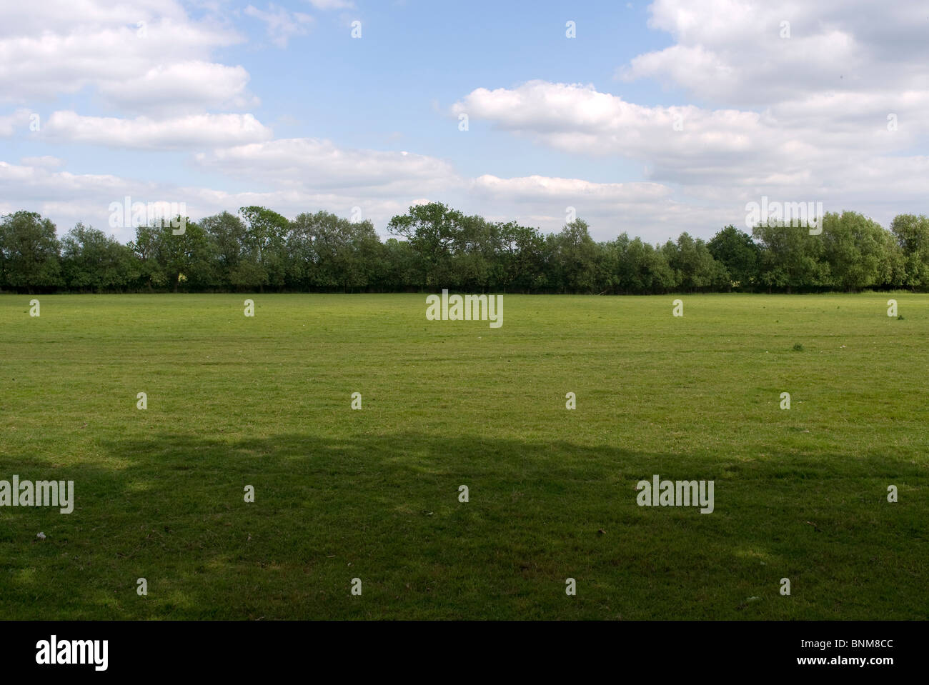 field of grass with trees behind shadows in front Stock Photo - Alamy