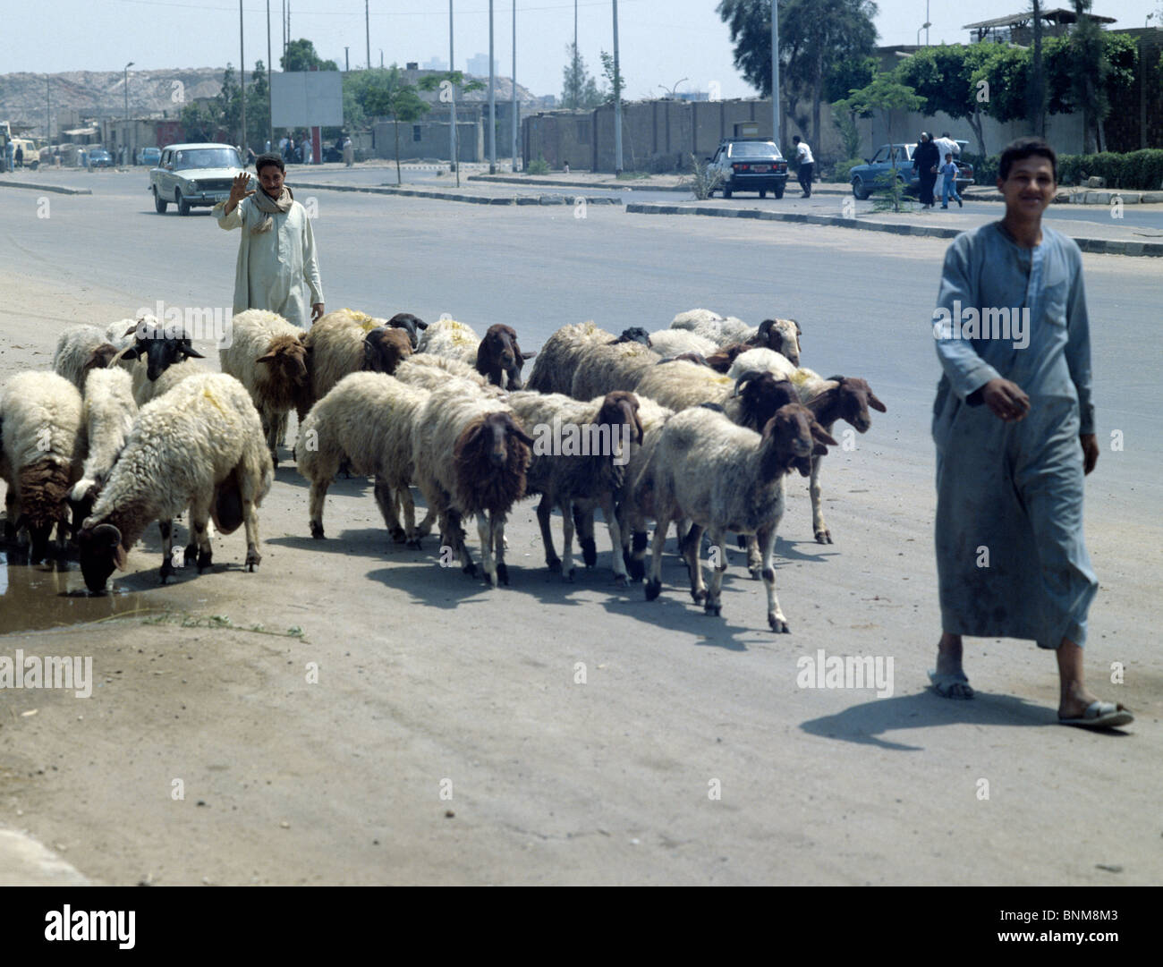 Cairo cars hi-res stock photography and images - Alamy