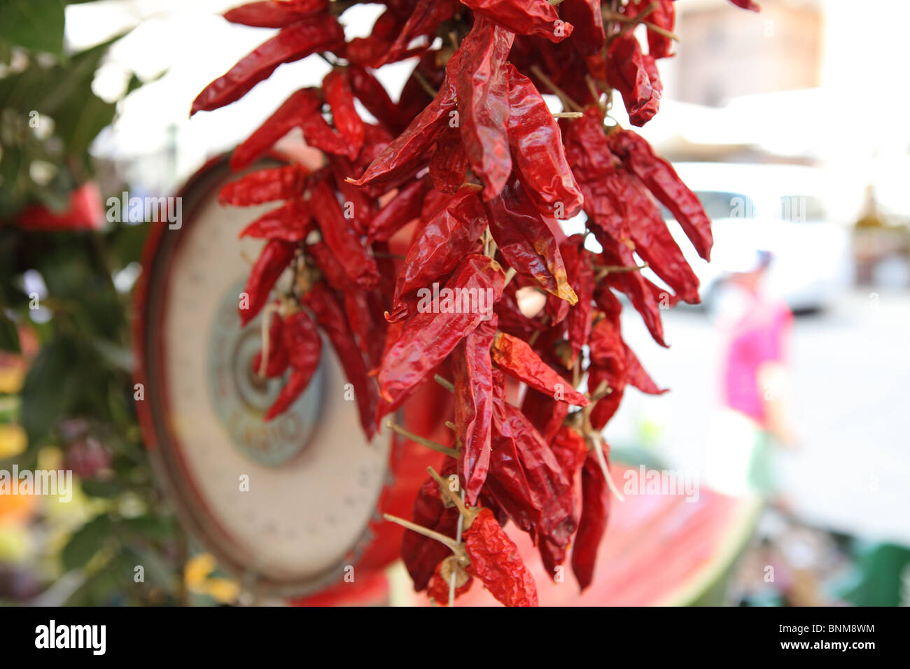 Red hanging peppers hi-res stock photography and images - Alamy