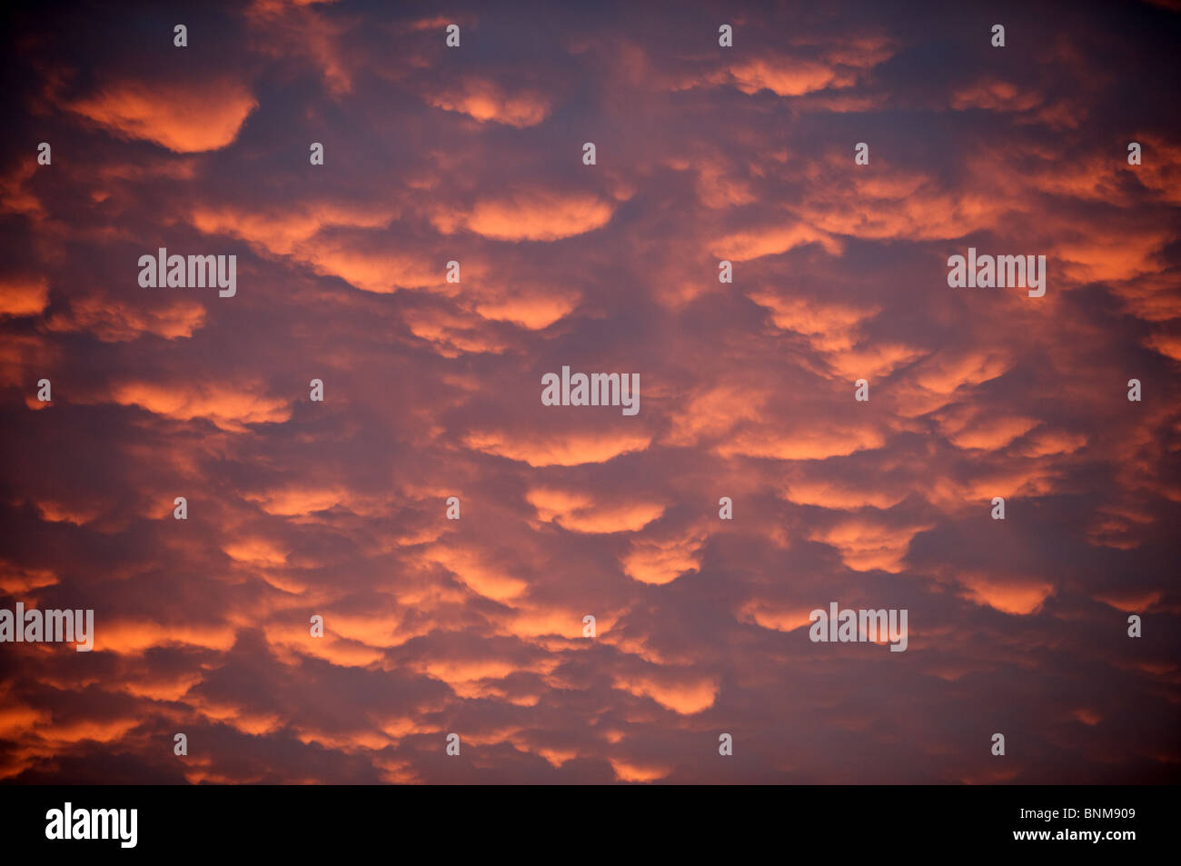 High level patchwork cirrocumulus clouds Stock Photo - Alamy