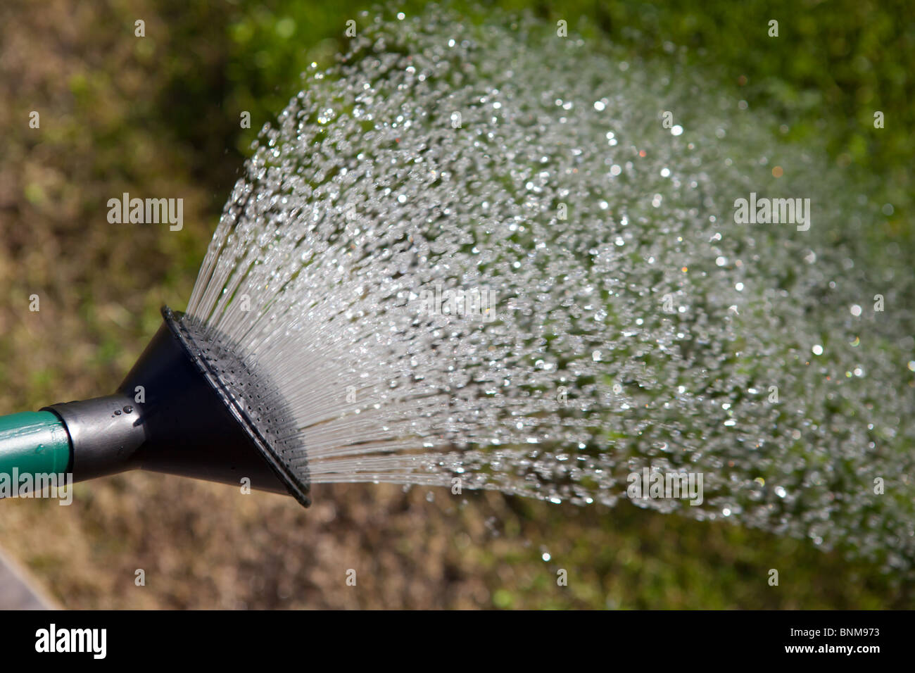 Water pouring out of a watering can Stock Photo - Alamy