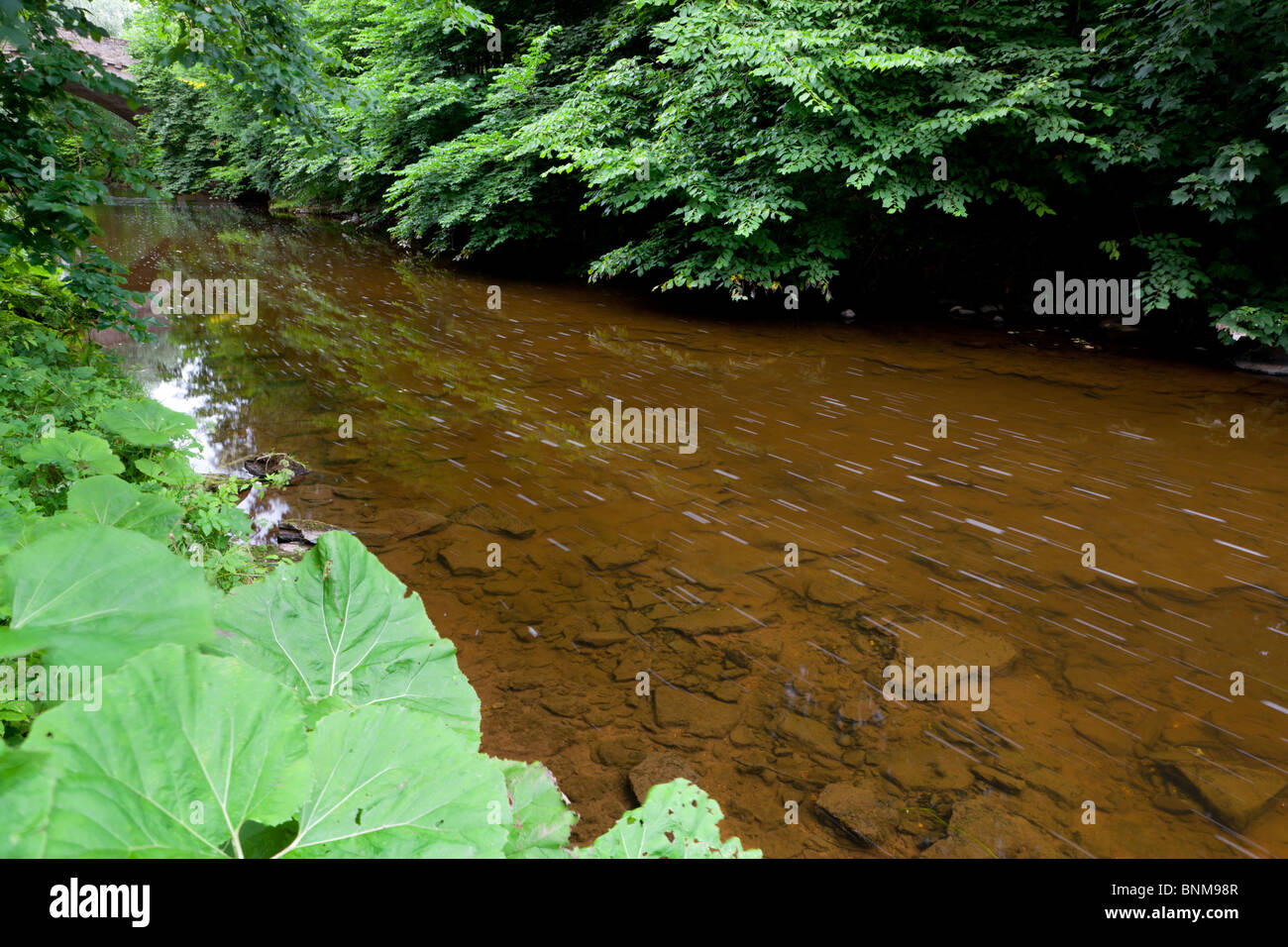 Shady river hi-res stock photography and images - Alamy