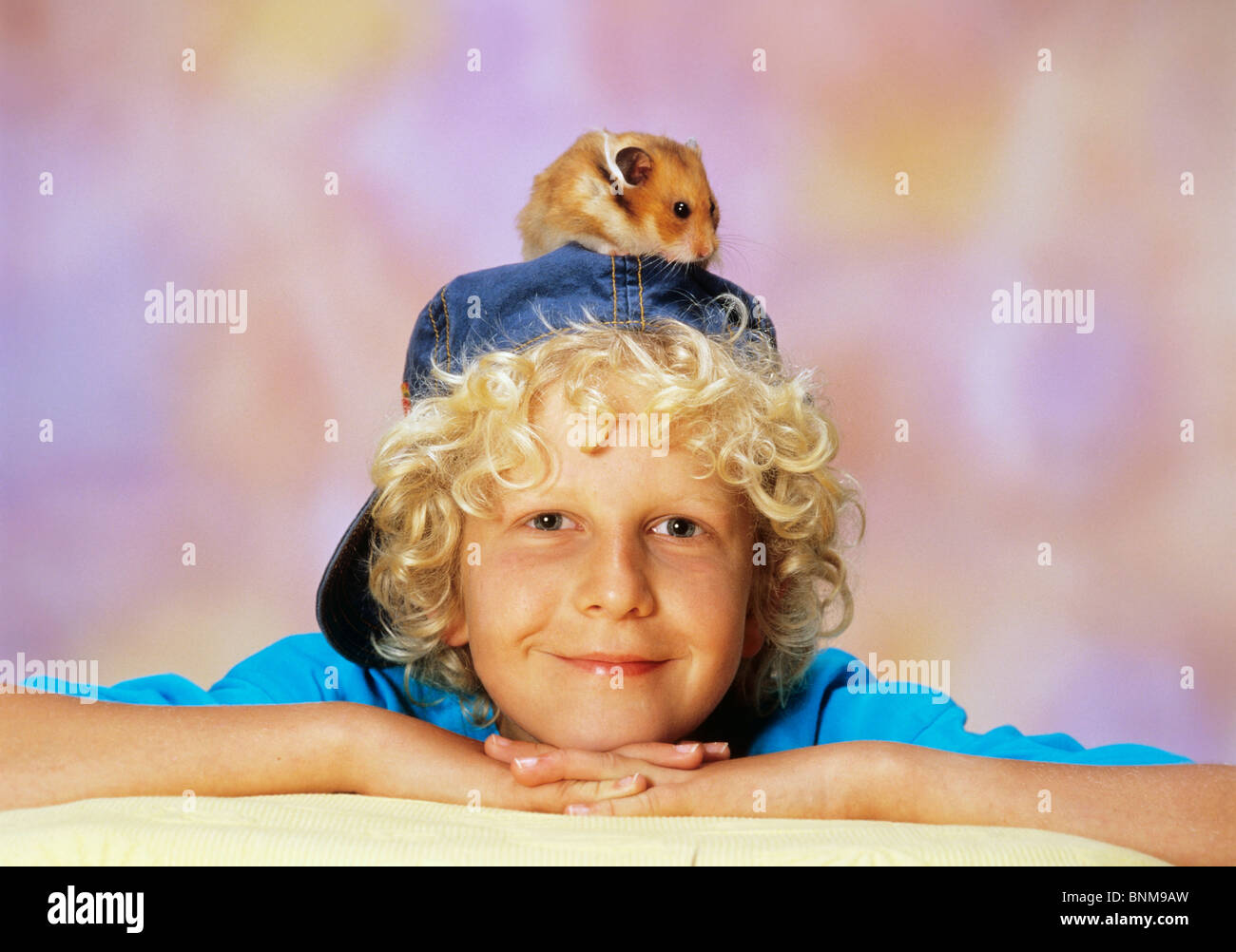 boy with a Golden hamster on his head Stock Photo - Alamy