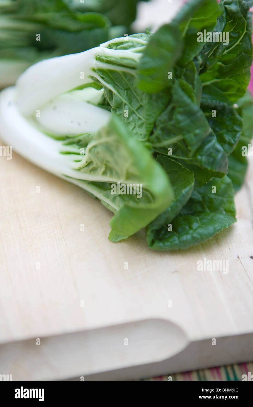 Bak choy hi-res stock photography and images - Alamy