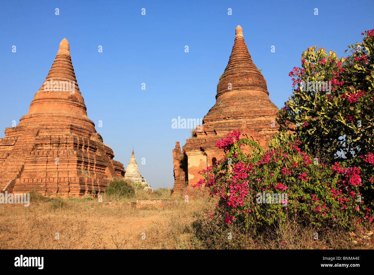 Myanmar Burma Burma Bagan pagoda scenery pagodas scenery Stock Photo ...