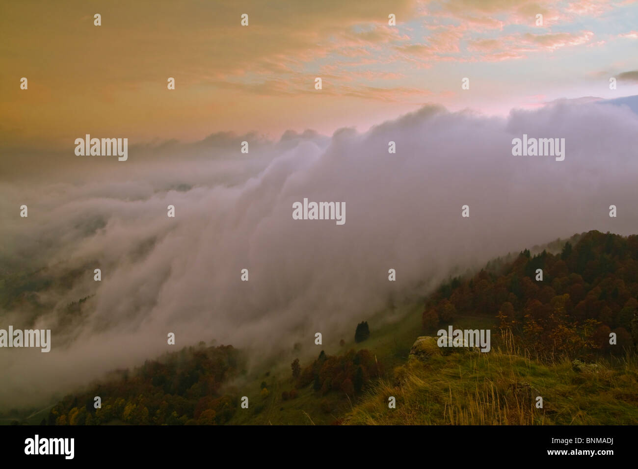 Belchen Baden-Wurttemberg Germany nature reserve Black Forest autumn ...