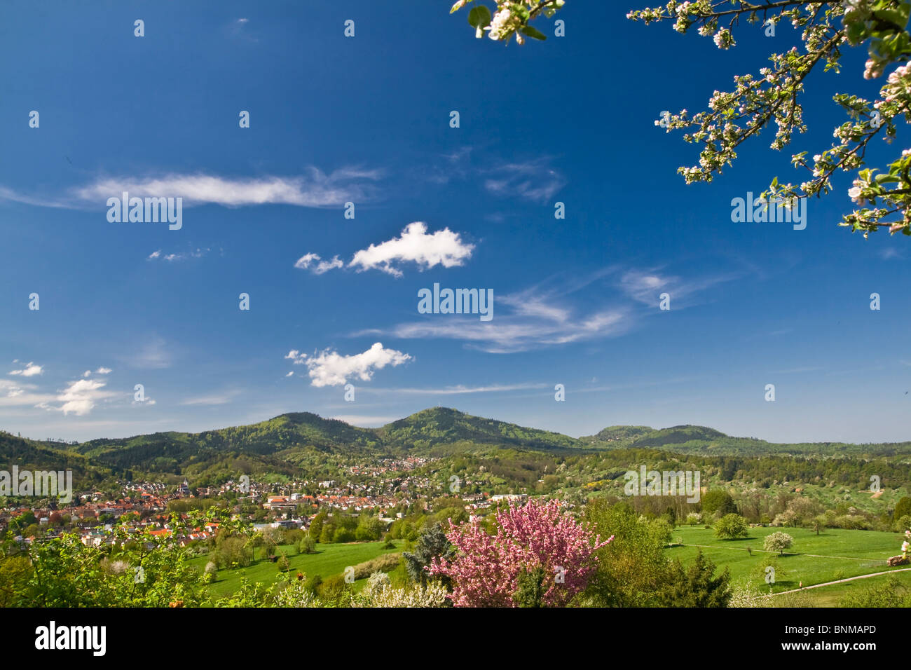 Gernsbach Baden-Wurttemberg Germany nature reserve Black Forest Murgtal ...