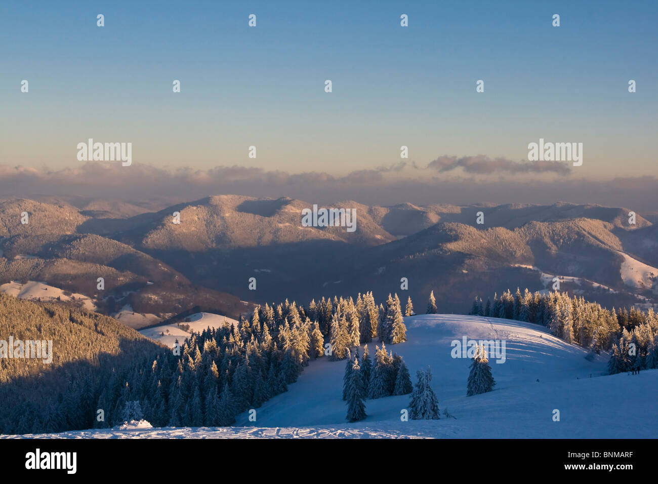Belchen Baden-Wurttemberg Germany nature reserve Black Forest winter ...