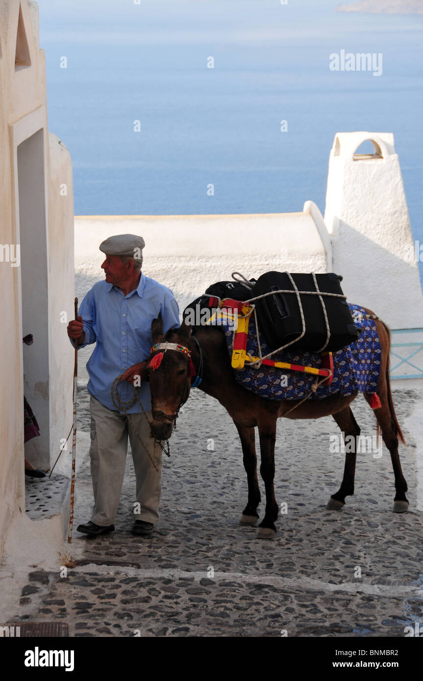 Man with mule, Oia, Santorini, Greece Stock Photo - Alamy
