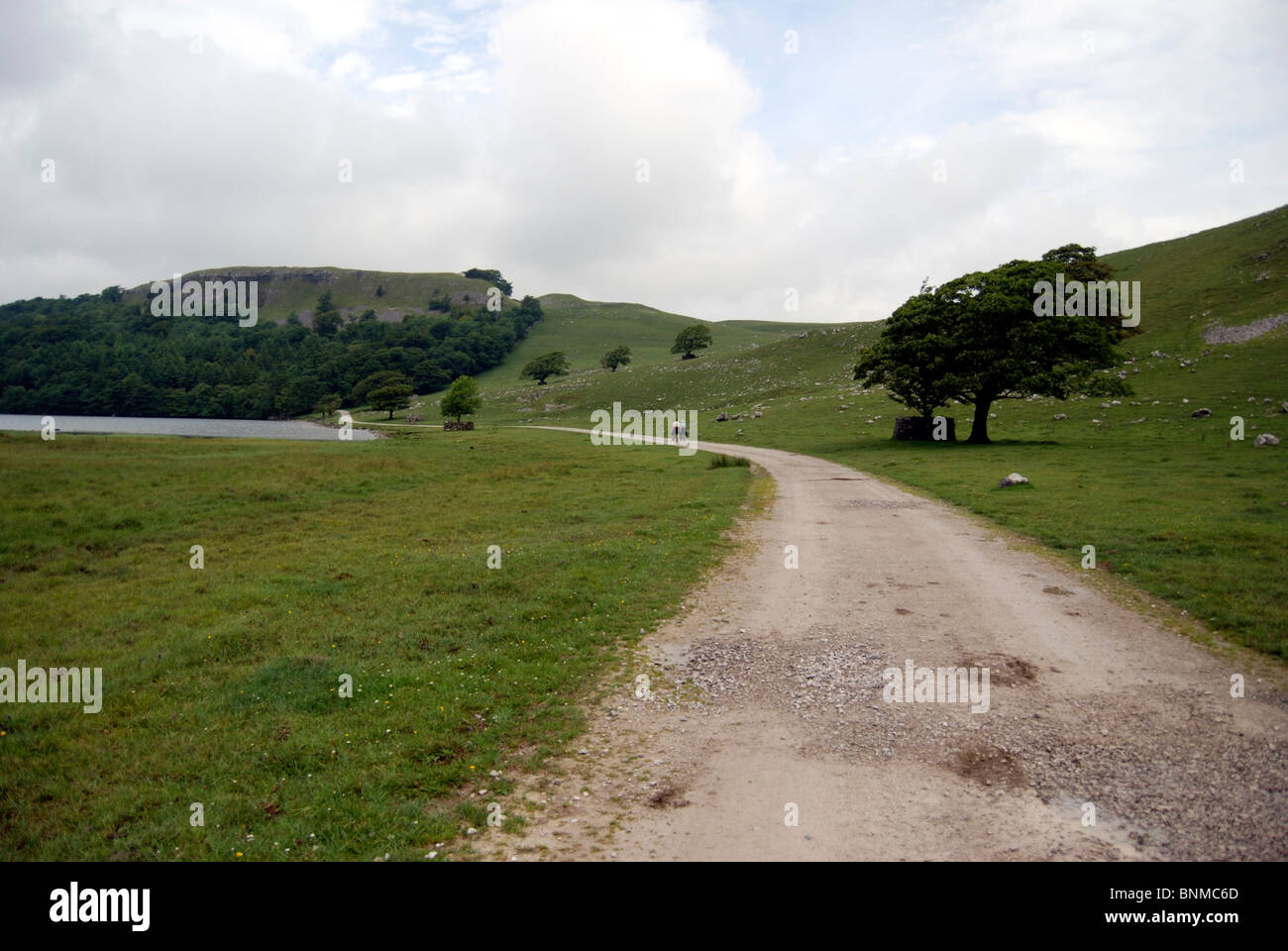 A path alongside Malham Tarn in the Yorkshire Dales Stock Photo - Alamy