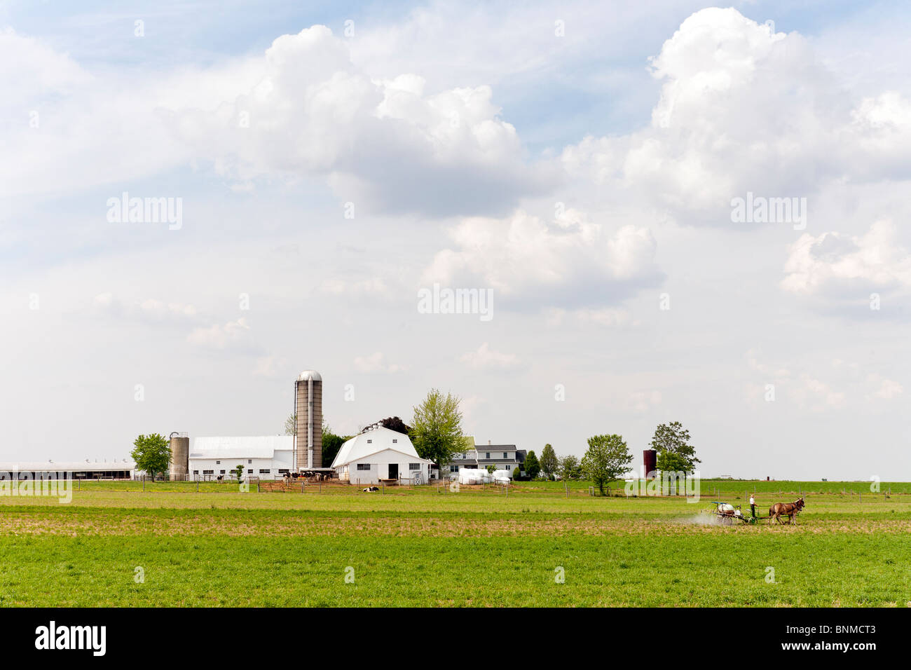 Farmer in Amish Country, Lancaster, Pennsylvania Stock Photo - Alamy