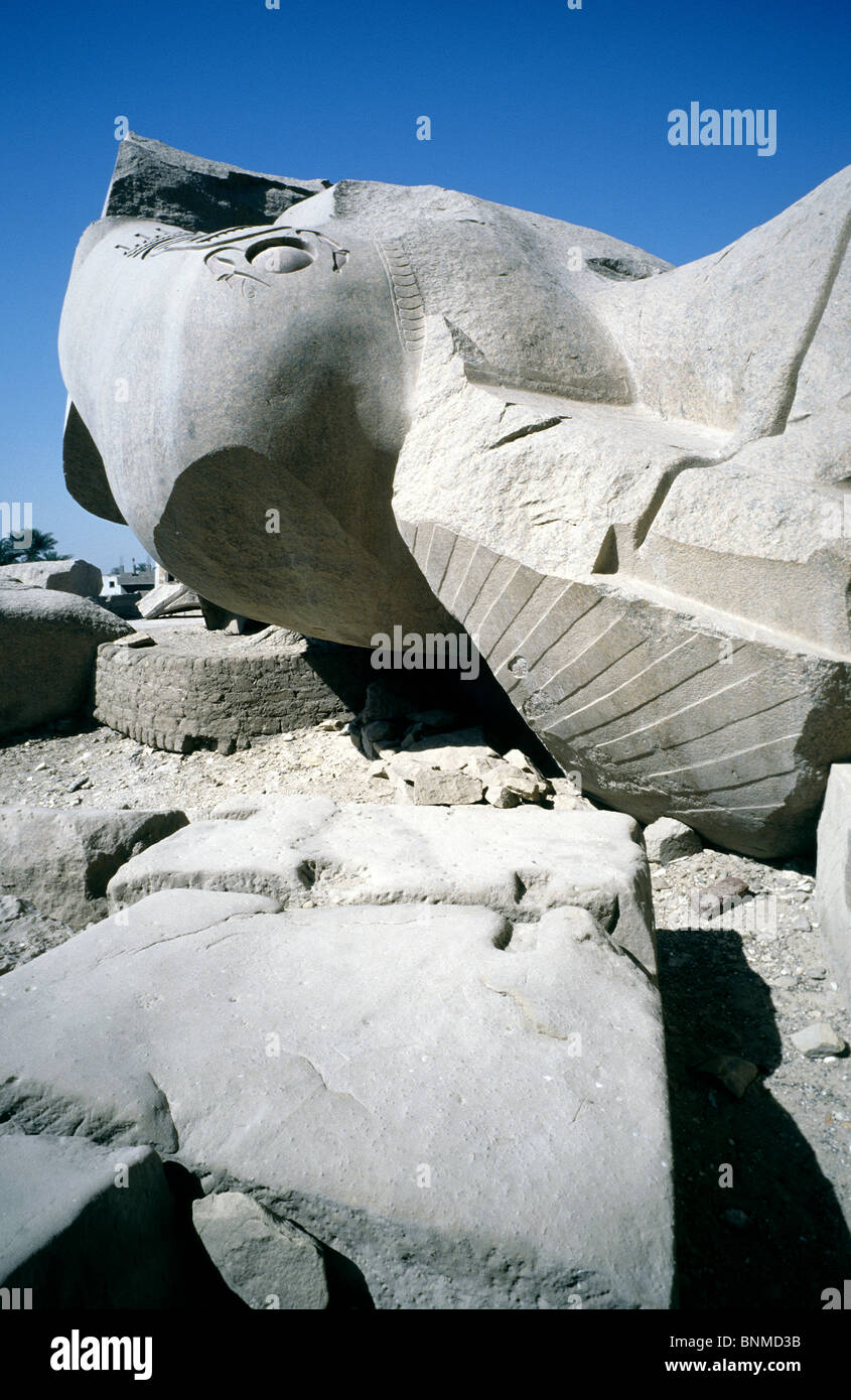 Fallen colossus of Ramesses II at the Ramesseum at the Theban ...
