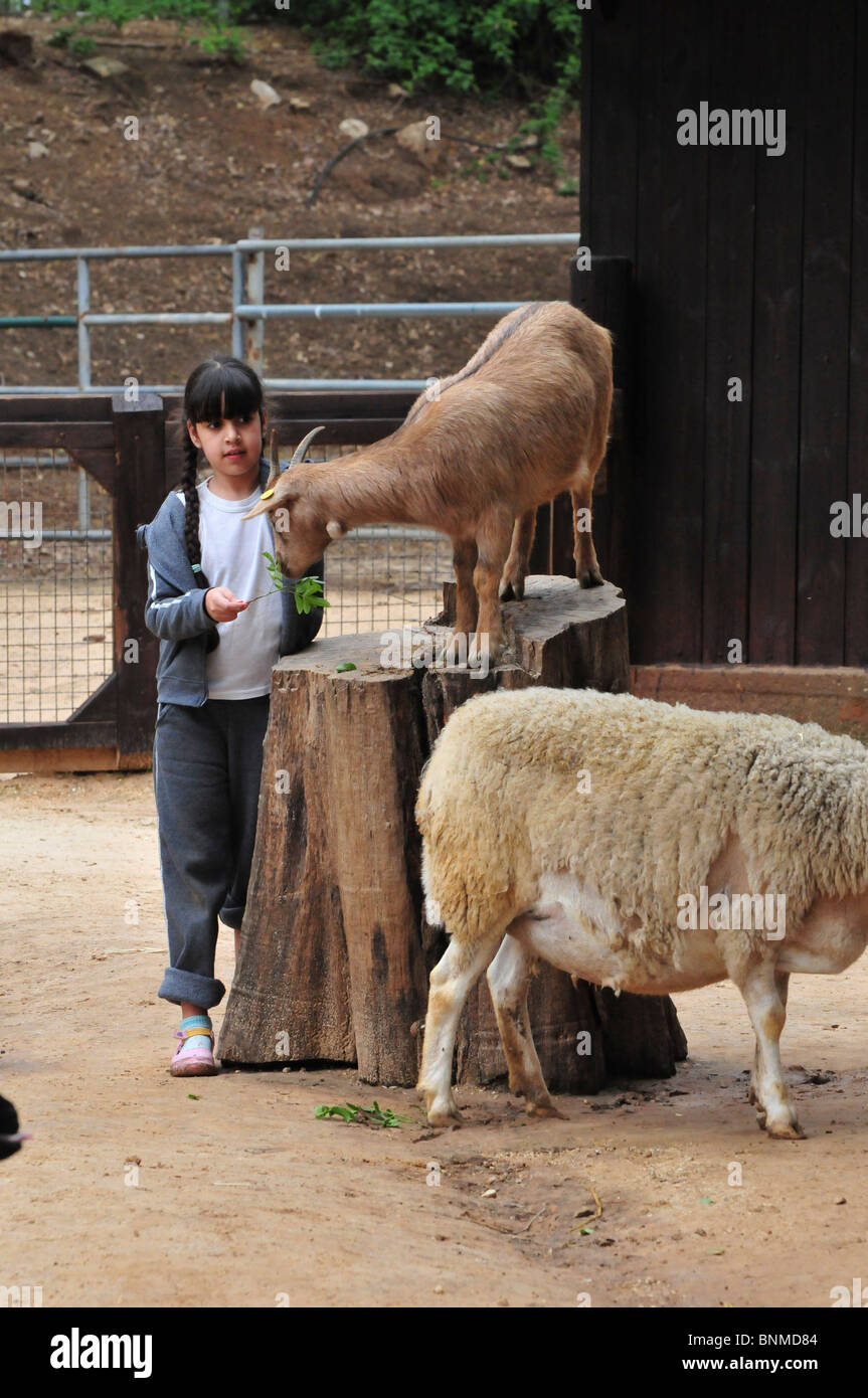 Patting zoo hi-res stock photography and images - Alamy