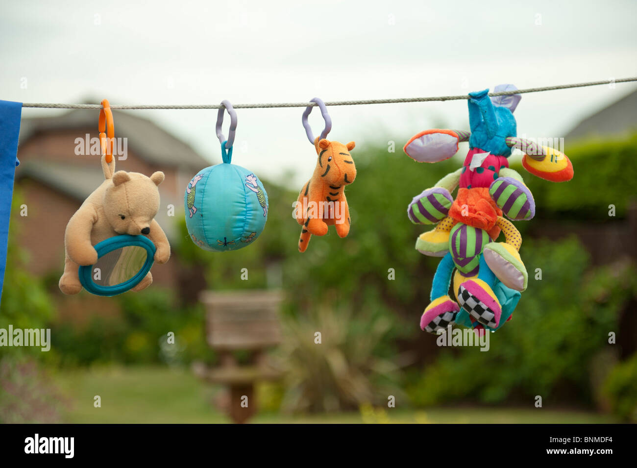 Tiger washing hi-res stock photography and images - Alamy