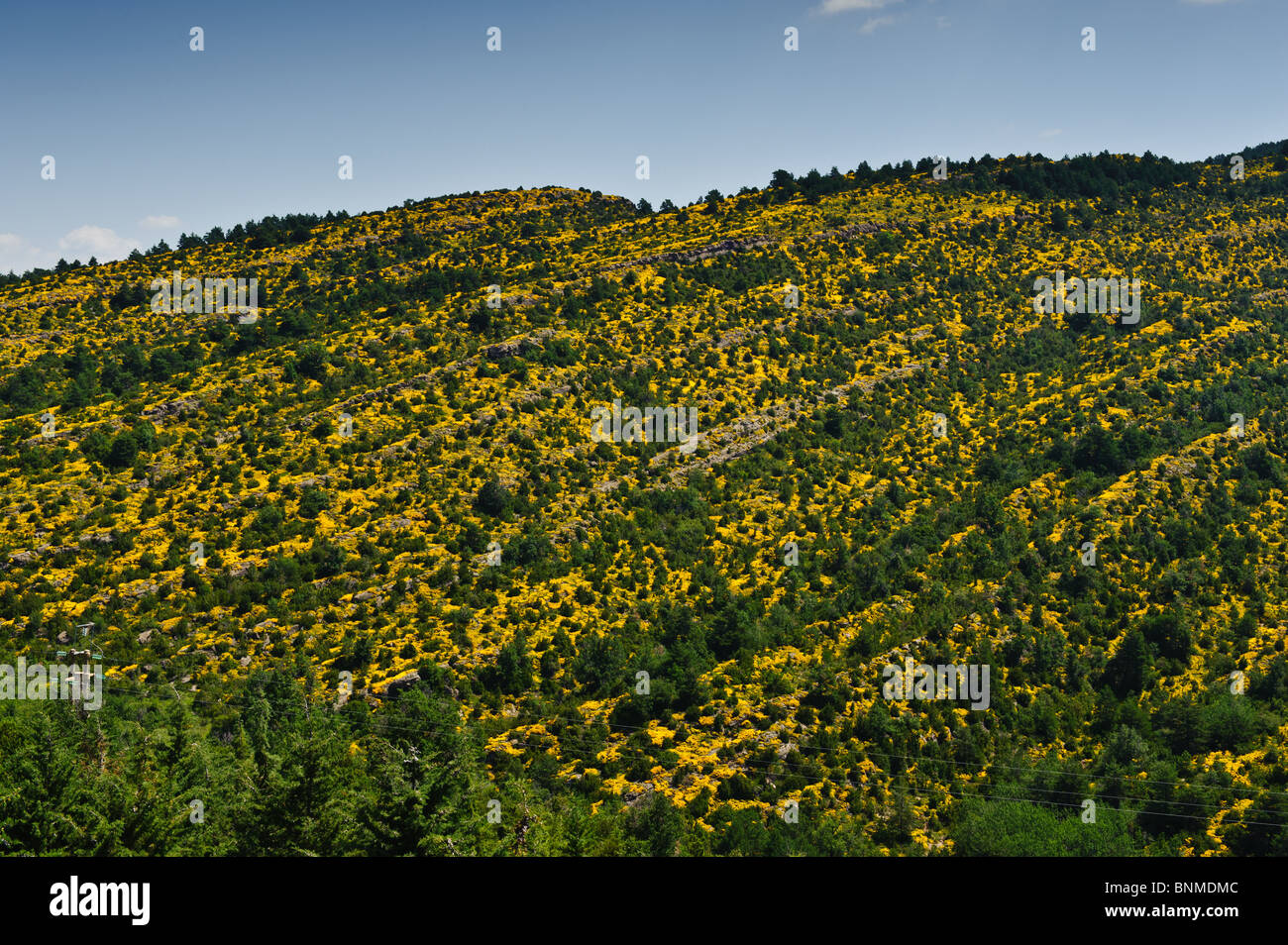 The pyrenees near Jaca Stock Photo - Alamy