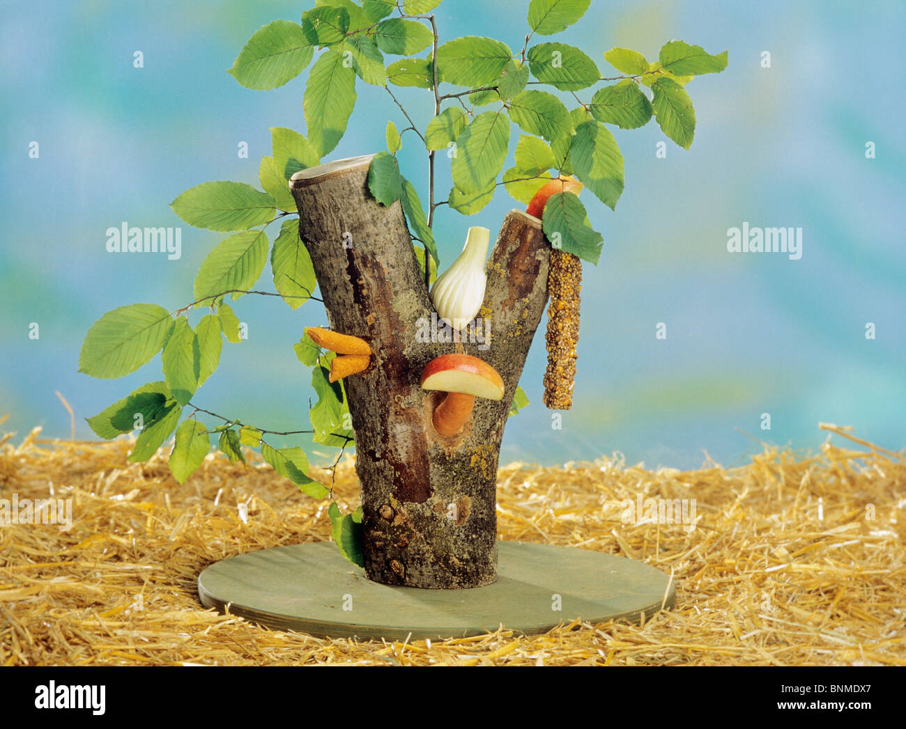 food for rabbits Stock Photo - Alamy