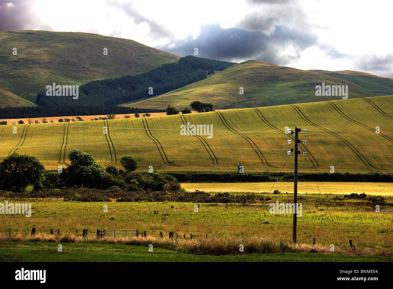 Rolling hills.Scottish borders. Scotland.UK Stock Photo - Alamy