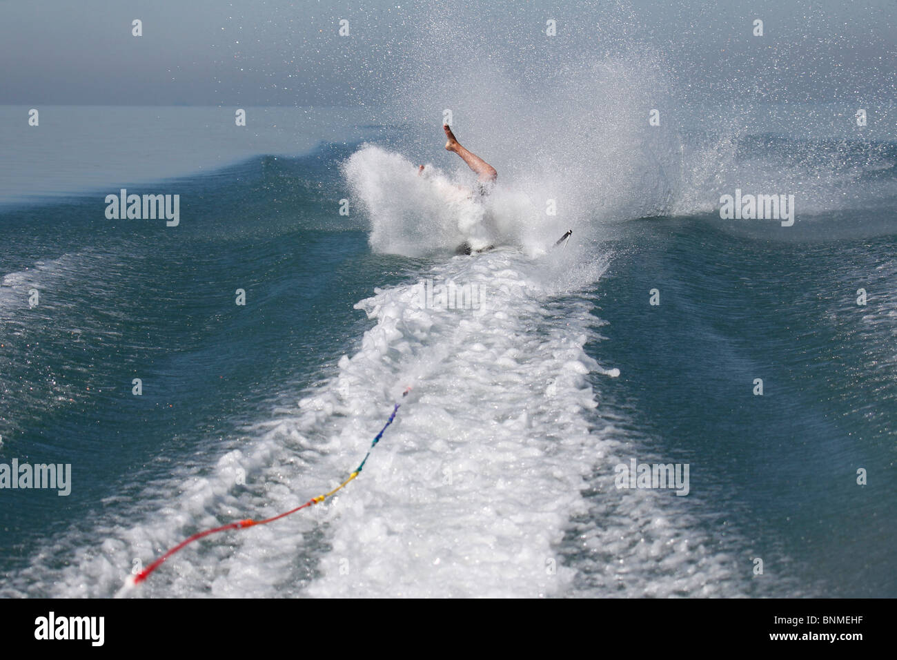 A waterskier falling while skiing barefoot Stock Photo - Alamy