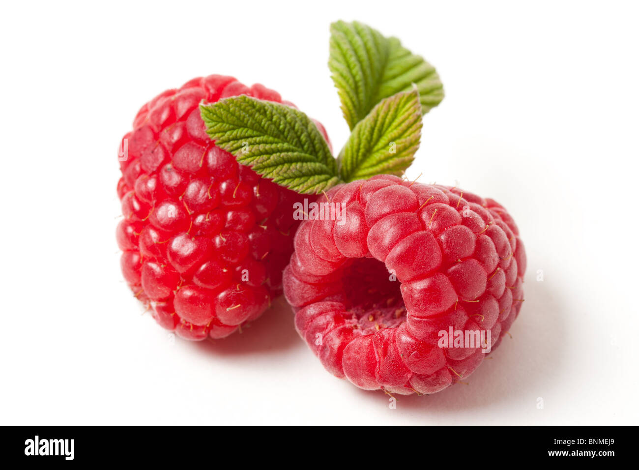 red raspberry on white background Stock Photo - Alamy