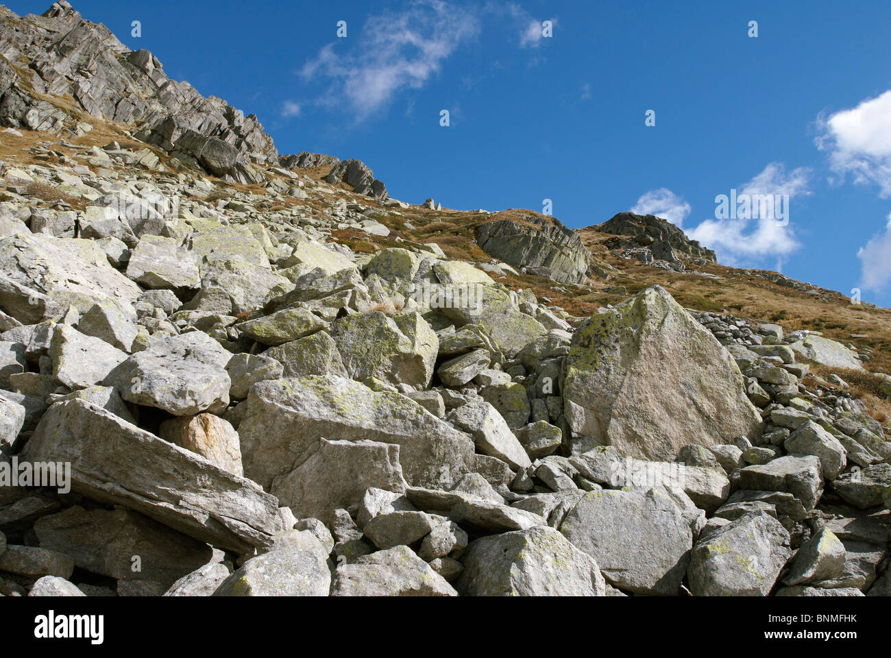 Brusquely hi-res stock photography and images - Alamy