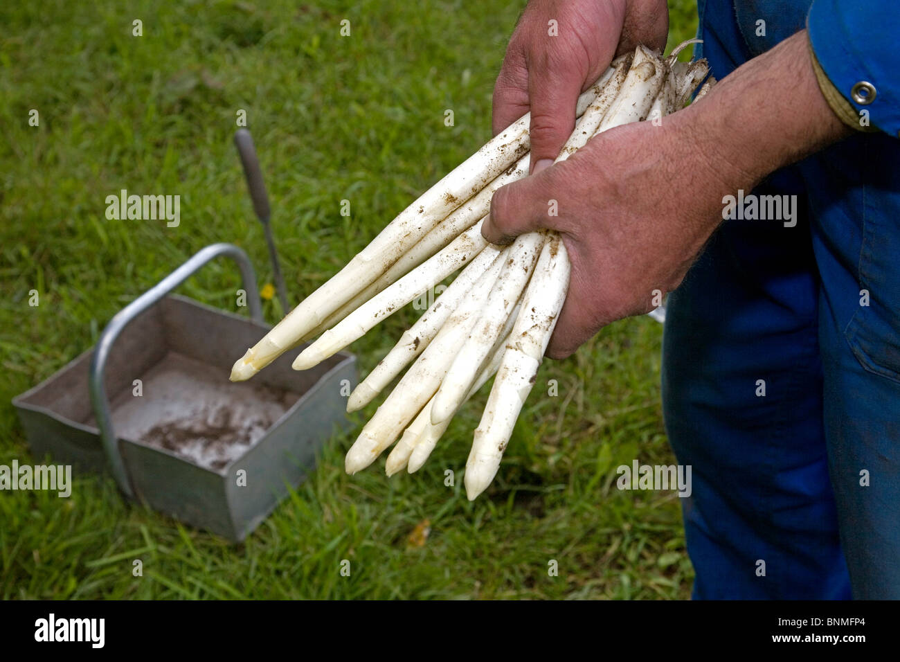 Culture or cultivation hi-res stock photography and images - Alamy