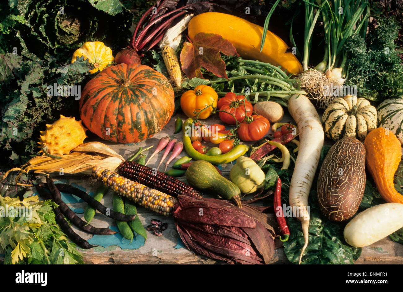 vegetable forgotten vegetable colourful food farm garden cultivation ...