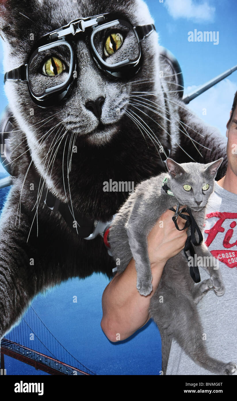 CATHERINE CATS AND DOGS: THE REVENGE OF KITTY GALORE WORLD PREMIERE LOS ...