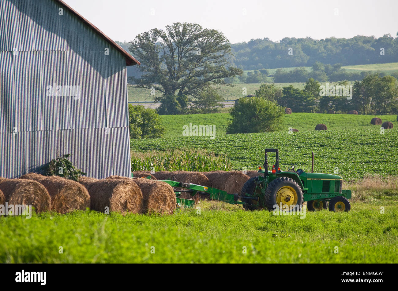"Time to grow". Waiting for the next round ! Stock Photo - Alamy