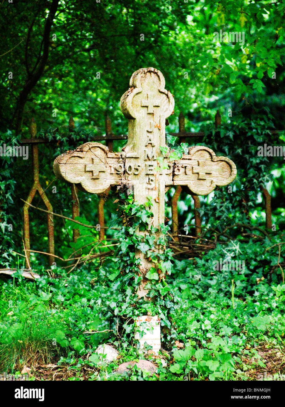 gravestones lit by the sun in a country cemetery Stock Photo - Alamy