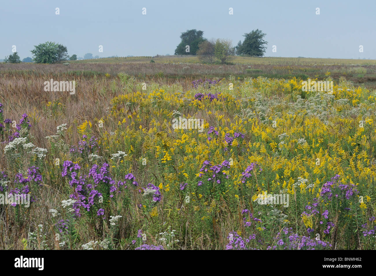 Hooppole hi-res stock photography and images - Alamy