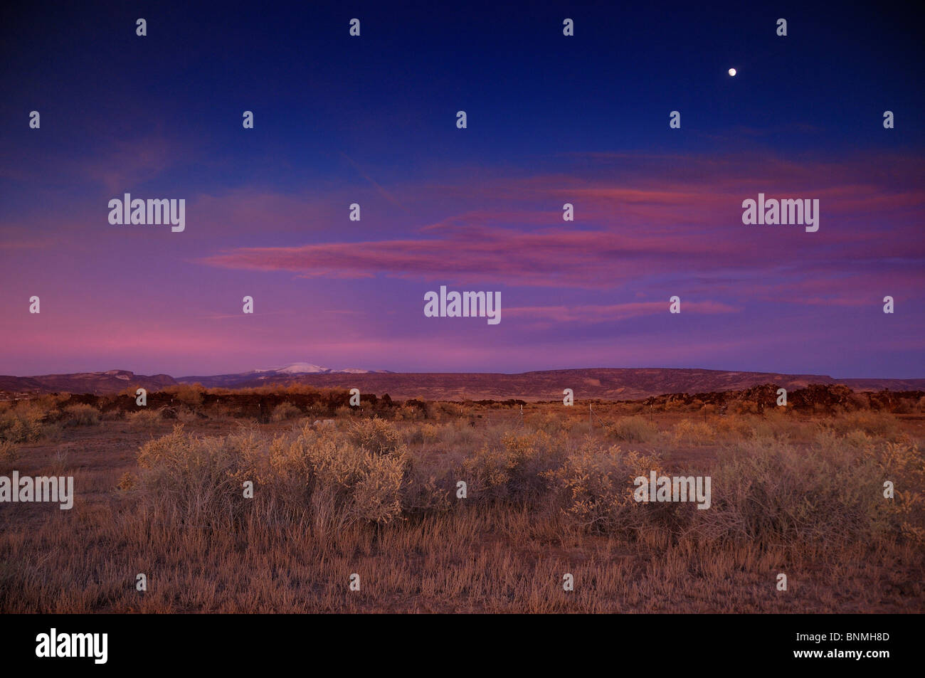 Landscape nature twilight purple plain scenery near Grants New Mexico ...