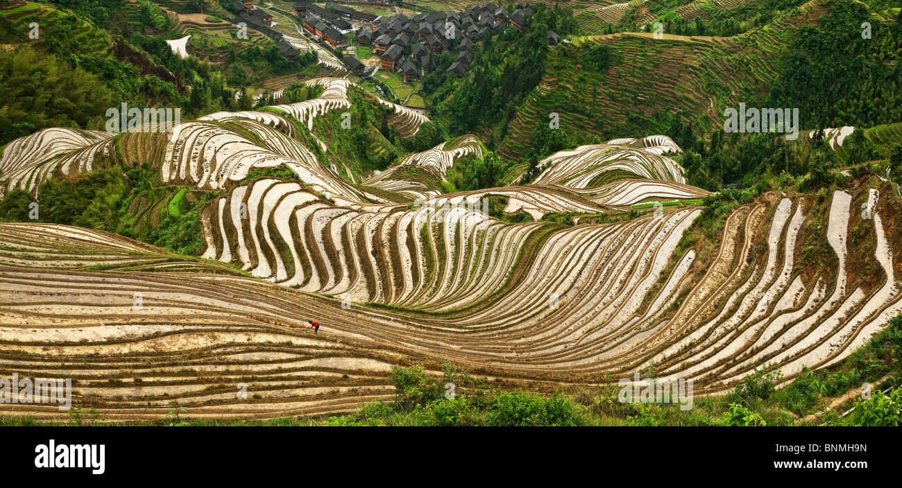 Rice field in Yuanyang, China Stock Photo - Alamy