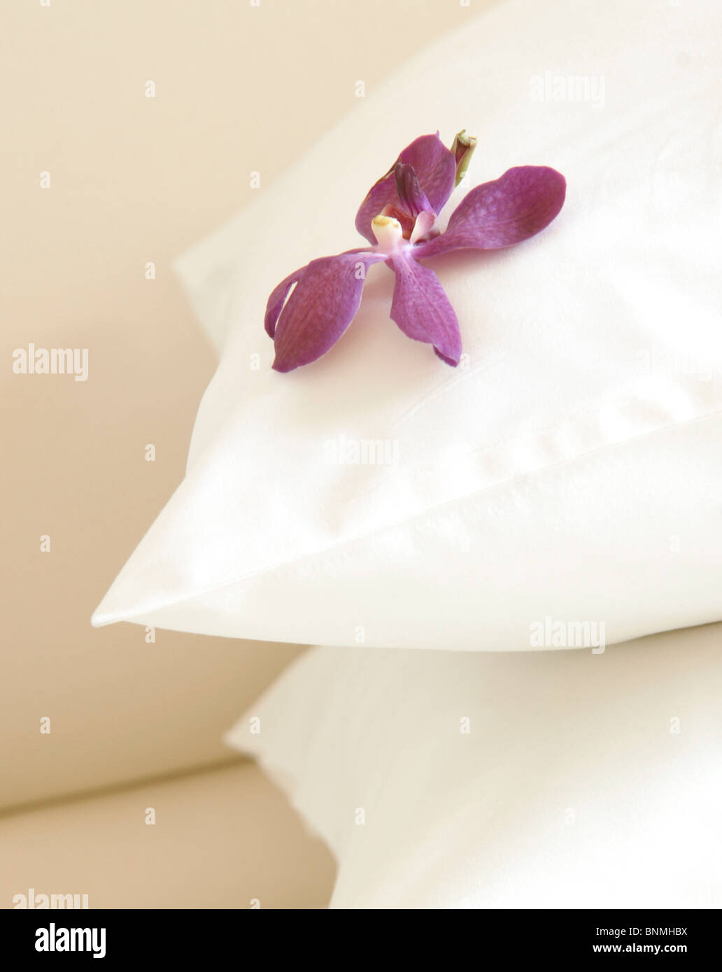 two pillow and orchid Stock Photo - Alamy