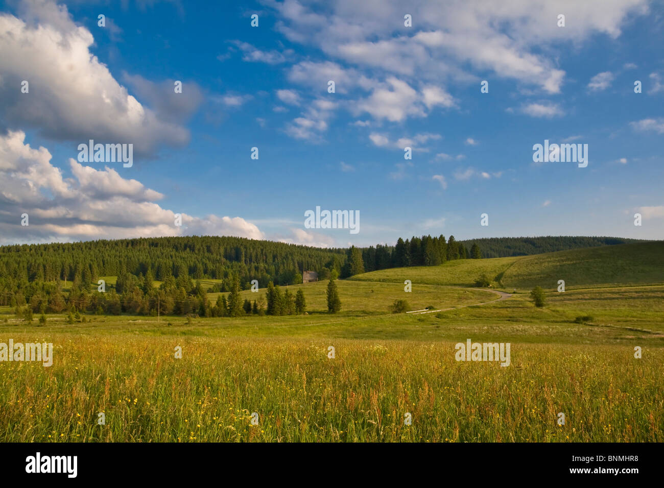 Furtwangen Baden Wurttemberg Germany nature reserve Black Forest ...