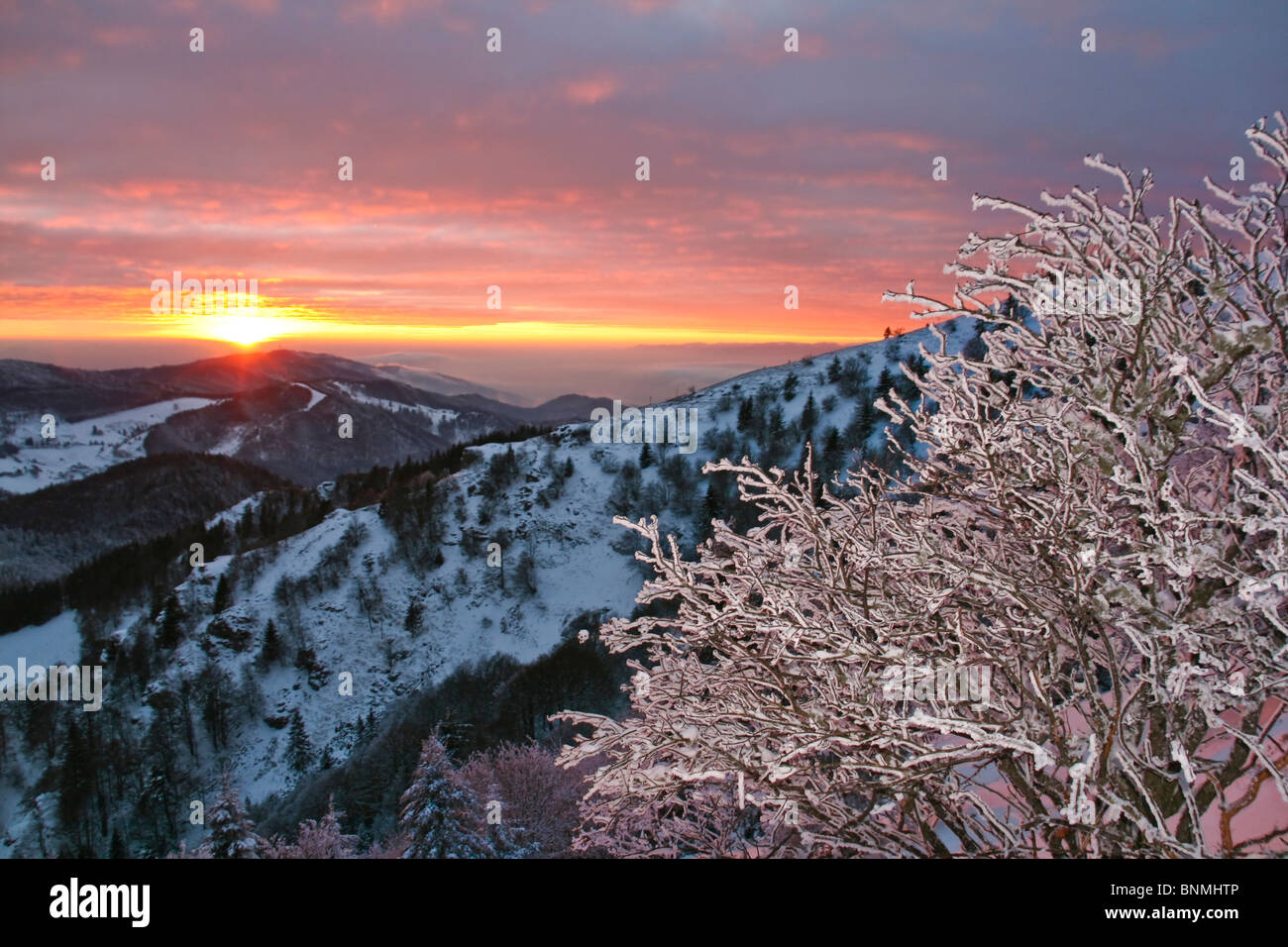 Belchen Baden Wurttemberg Germany nature reserve Black Forest winter ...
