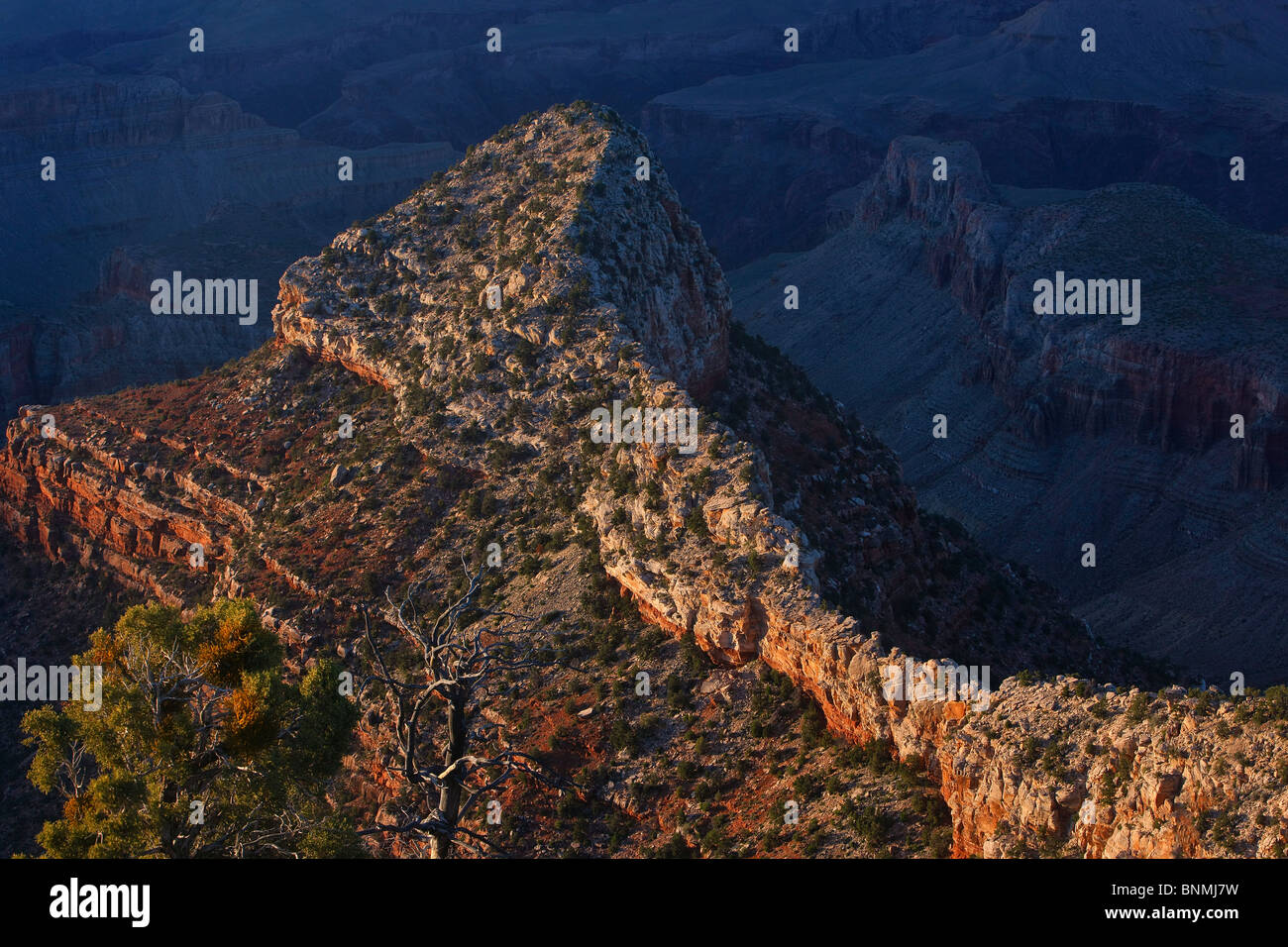 Sunset light on Horseshoe Mesa as seen from Grandview Point, Grand ...