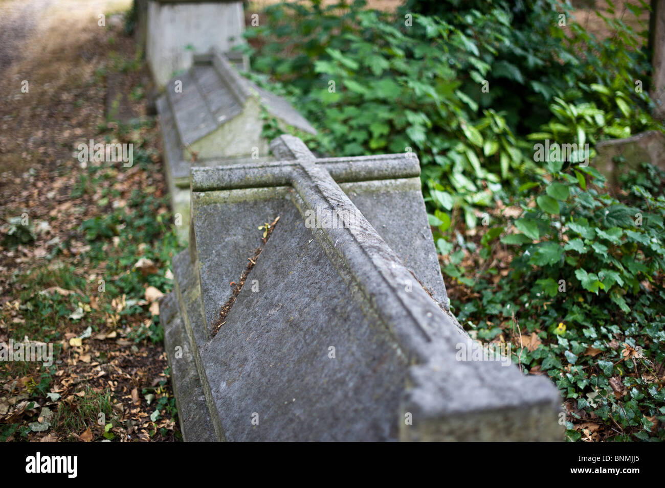 Overgrown old gravestones at Oak Lane Cemetery Twickenham, Middlesex ...