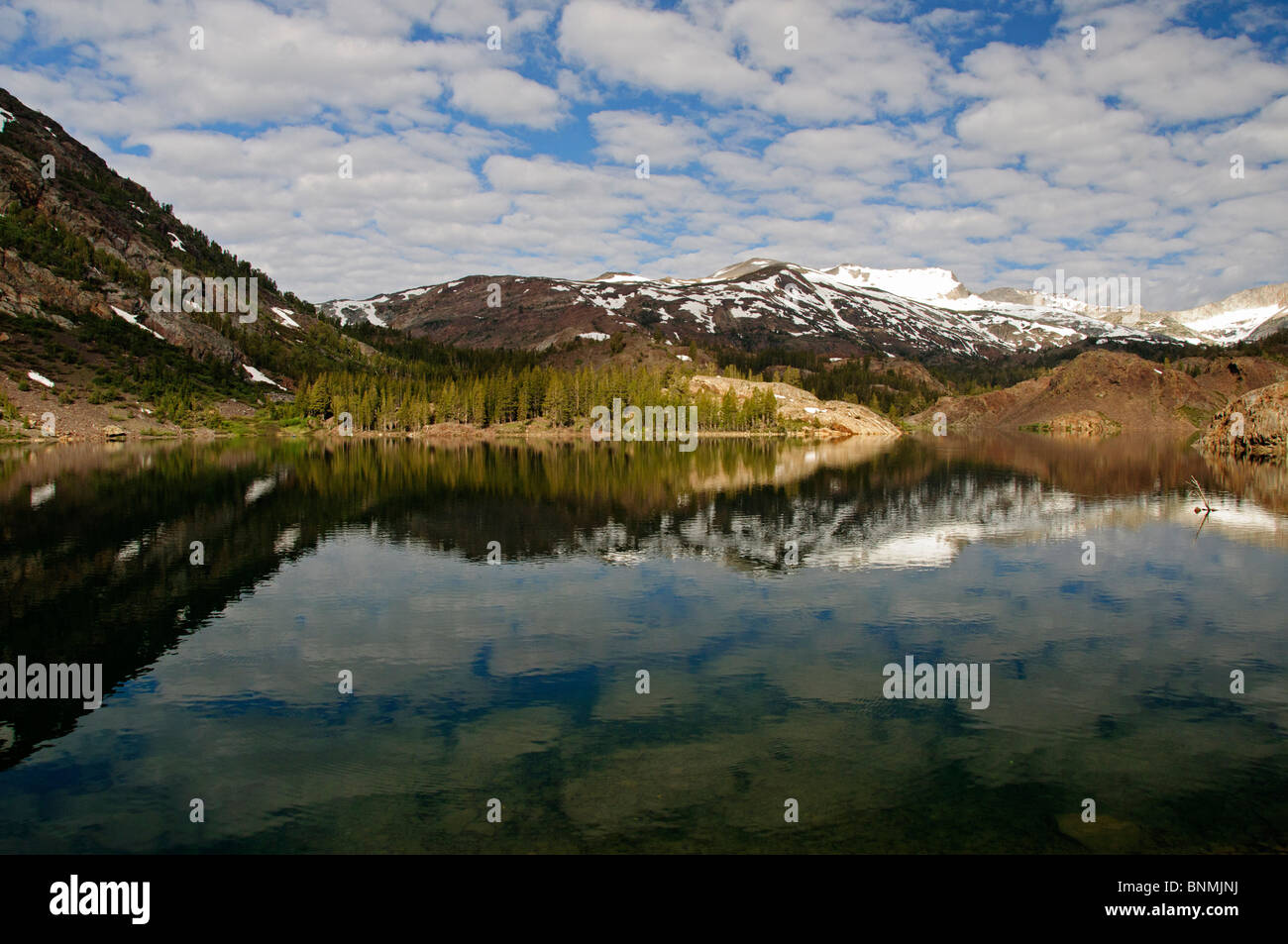 Ellery Lake Yosemite, California. Summer morning Stock Photo - Alamy