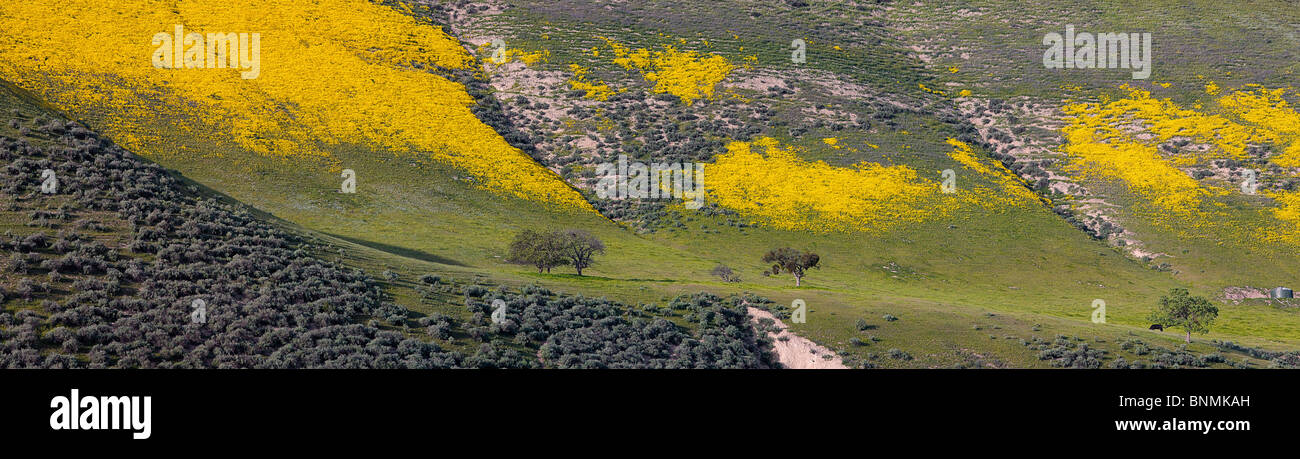 Rural California Spring scenes Stock Photo - Alamy