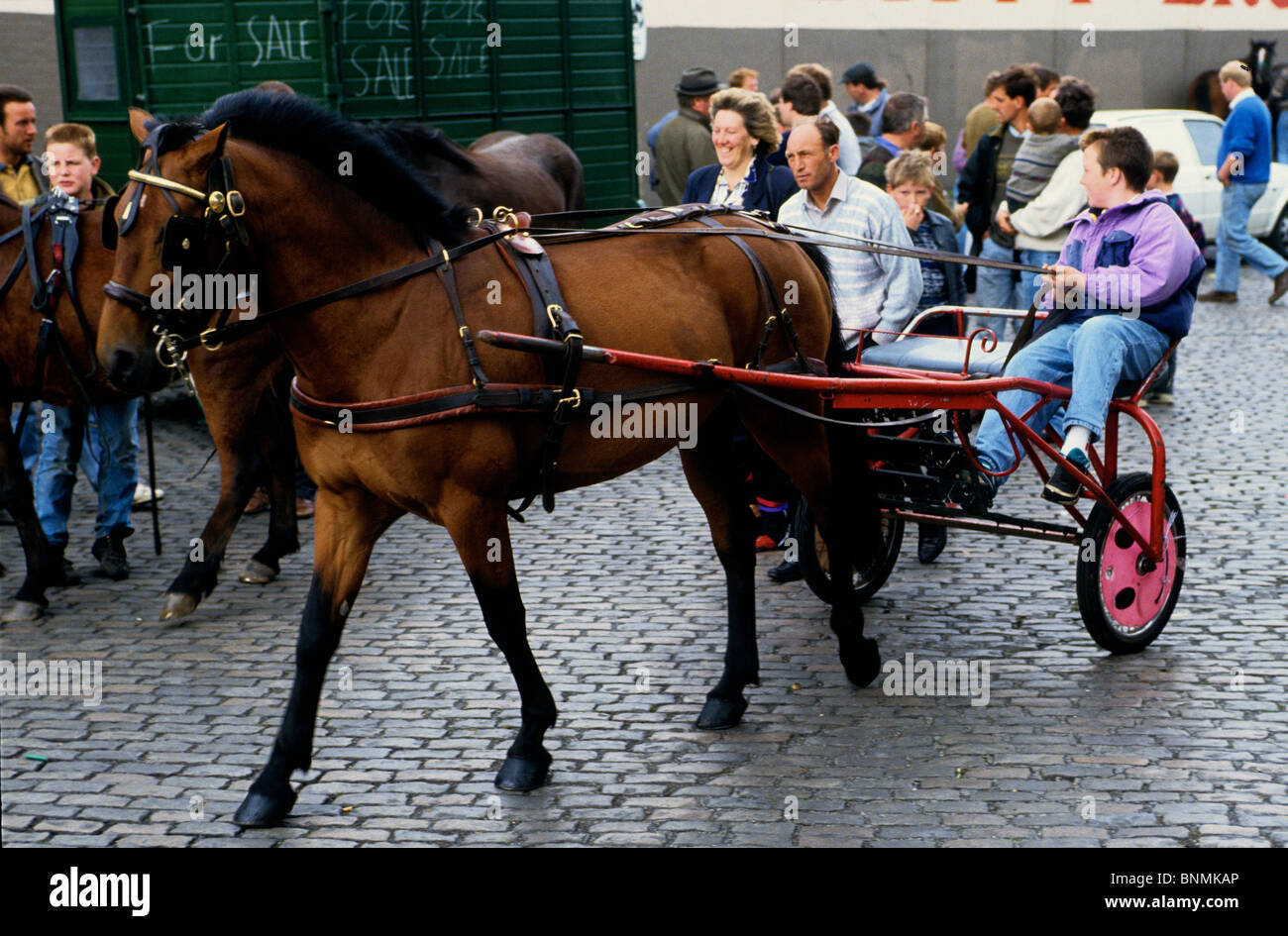 Boys show their ponies at Smithfield market Dublin Ireland Stock Photo ...