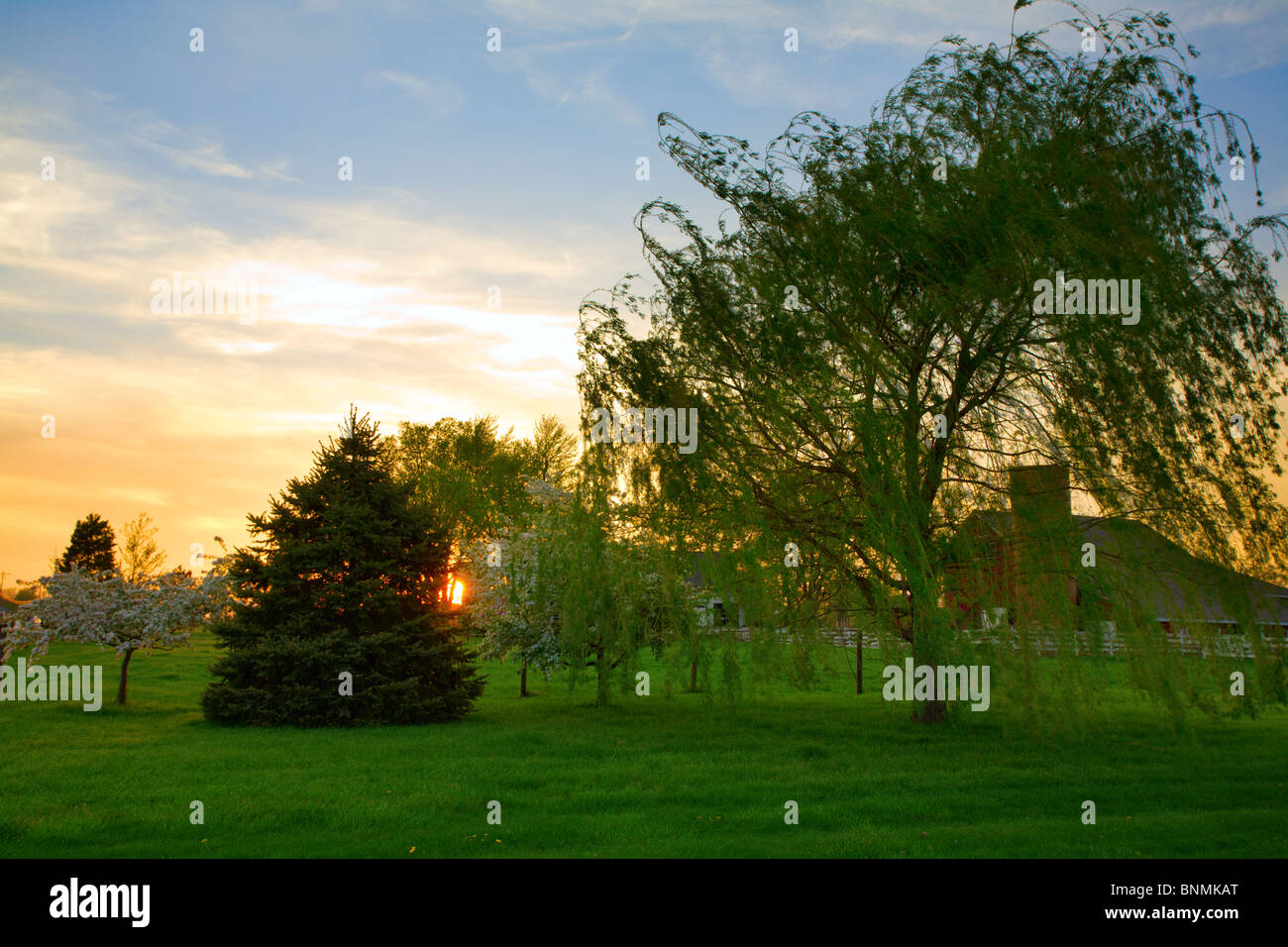 Farm at sunset Stock Photo - Alamy