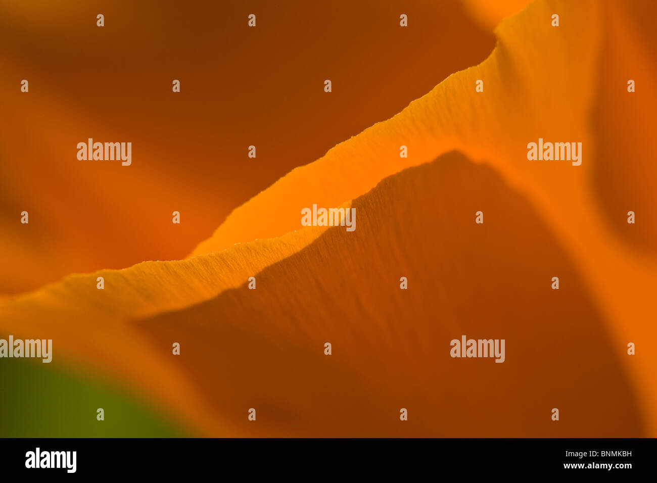 Spring scenes hi-res stock photography and images - Alamy